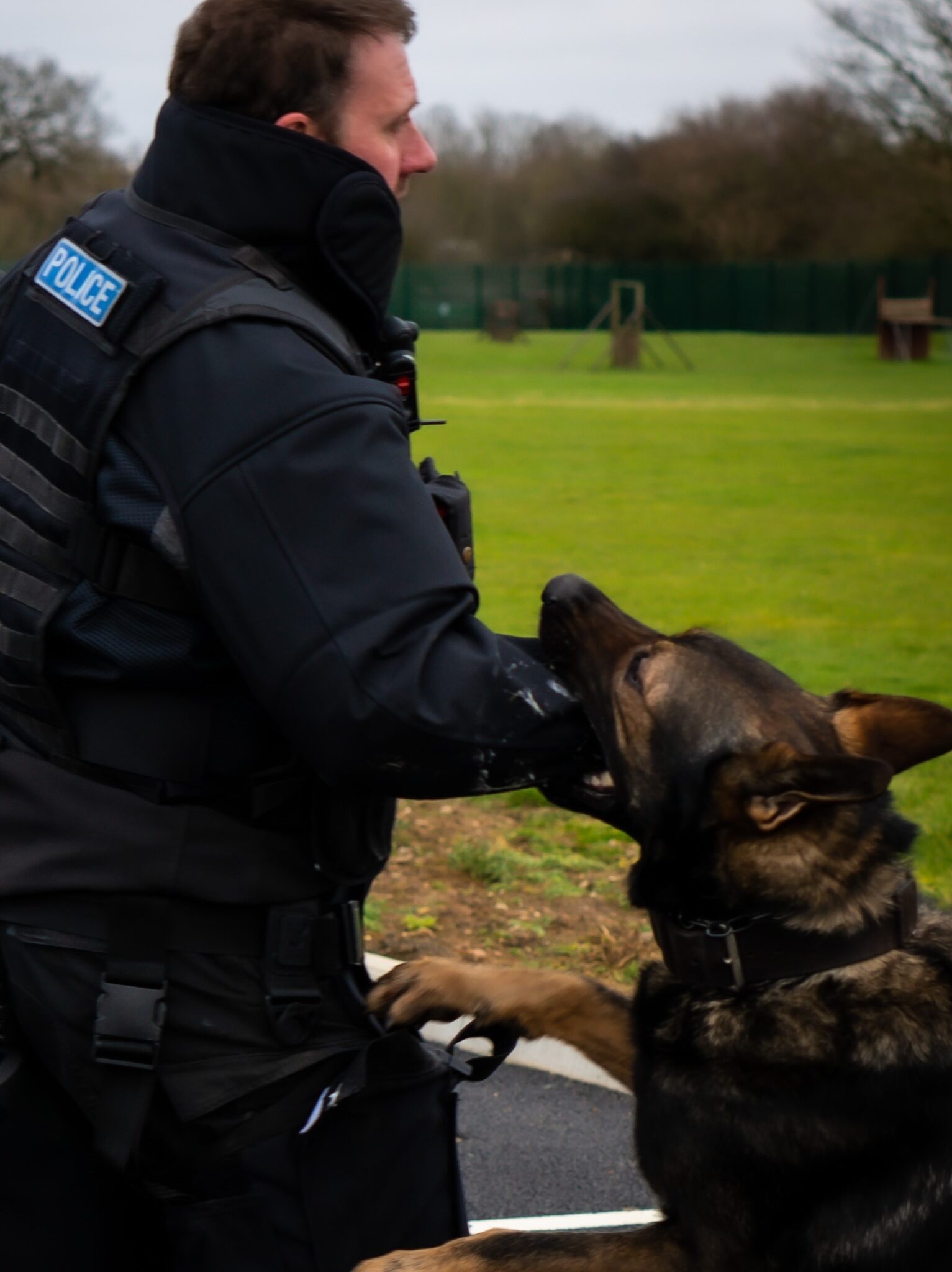 Tactical K9 Interaction Suit™ - Advances K9 Solutions